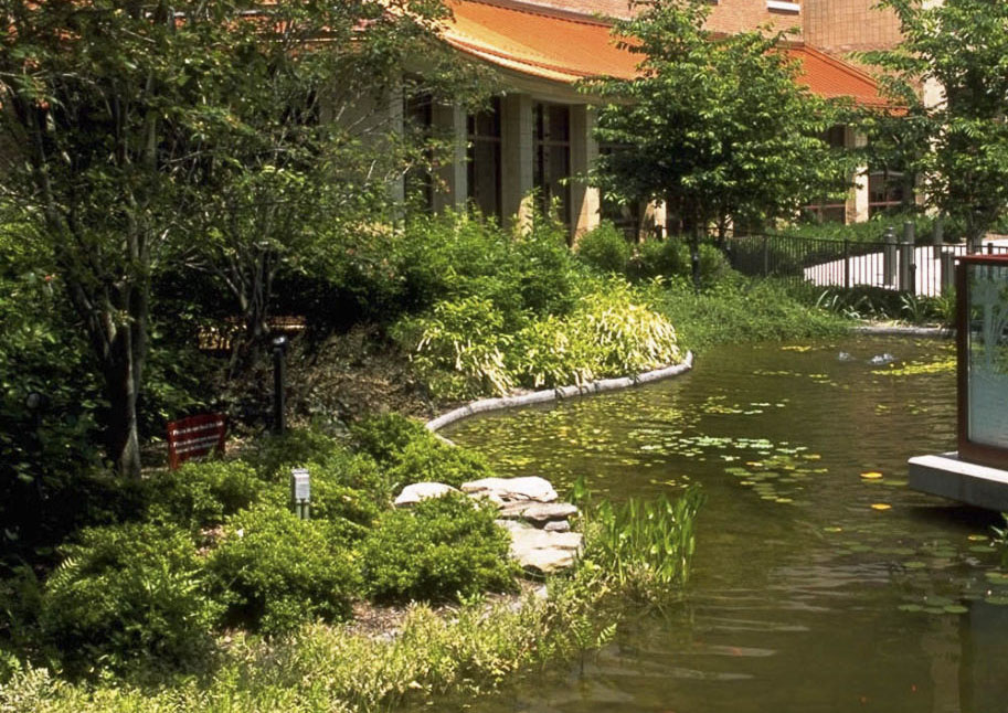 Anne Arundel Medical Center Healing Garden Landscape Architecture