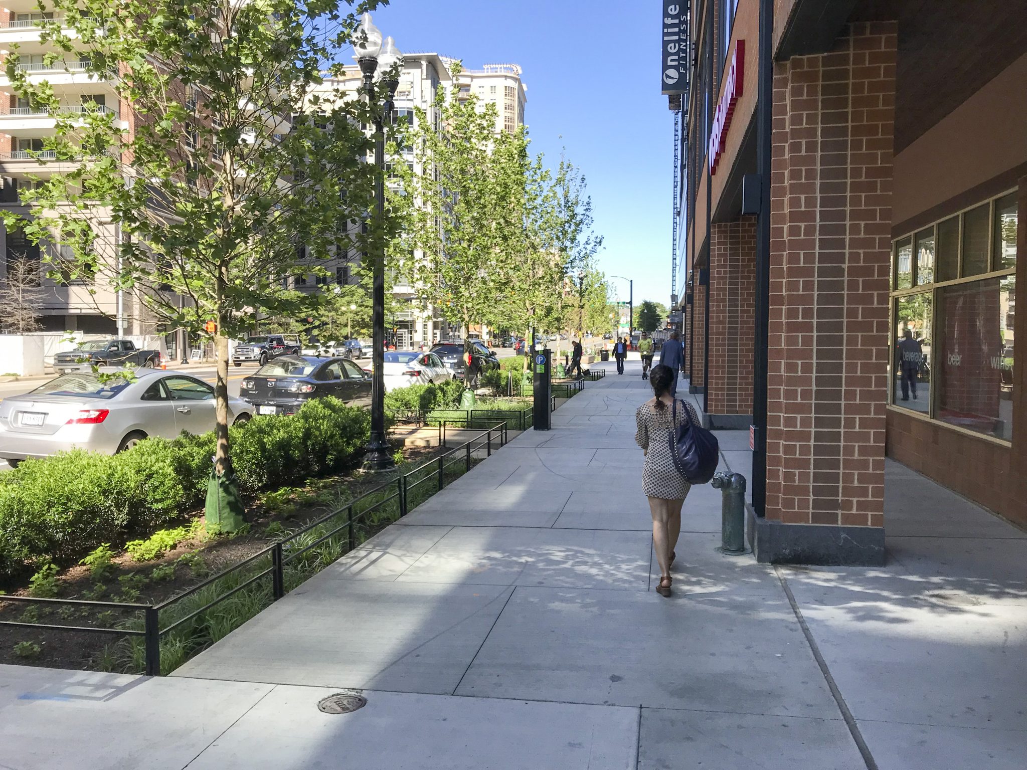 Ballston Quarter Landscape Architecture