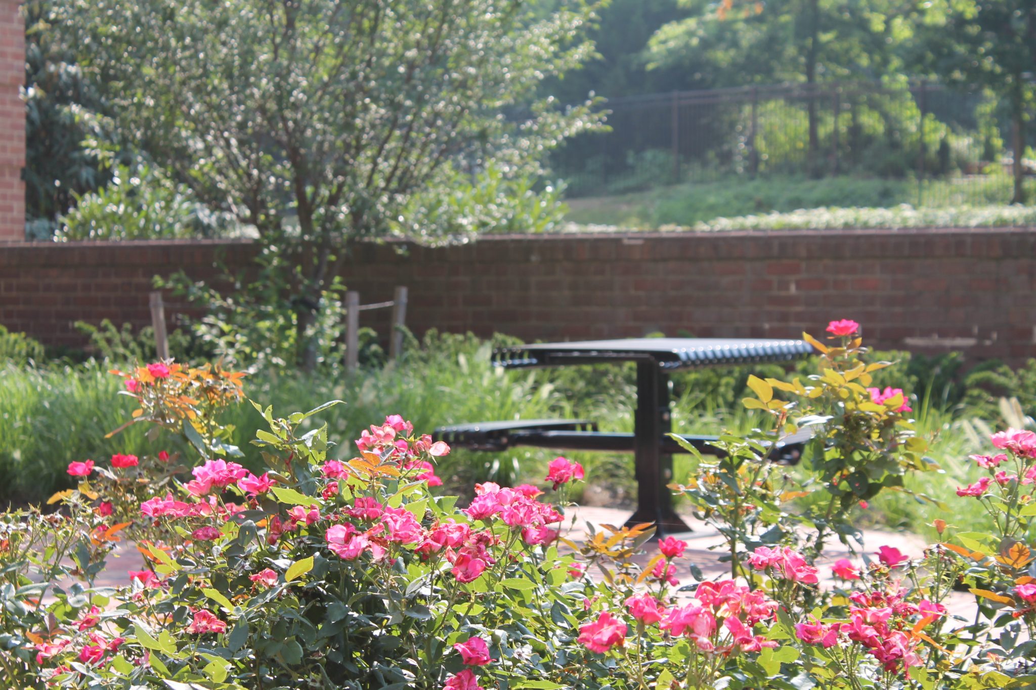 University of Maryland Denton Quad - Mahan Rykiel Associates